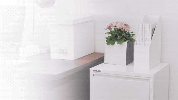 Storage Organization GIF by The Container Store - Find & Share on GIPHY