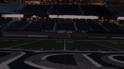 Monarch Butterfly Pupa Crystalis GIFs - Get the best GIF on GIPHY