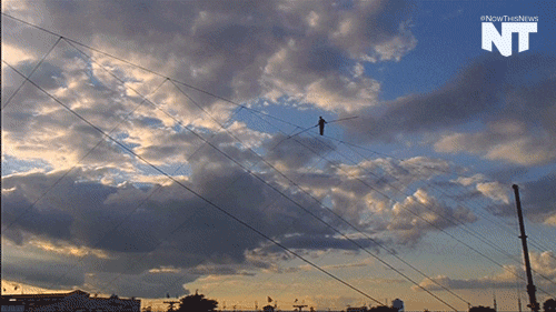 Acrobatics GIFs - Get the best GIF on GIPHY