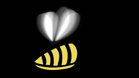 FDA GIFs on GIPHY - Be Animated