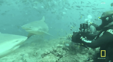 Earth Live GIFs - Get the best GIF on GIPHY