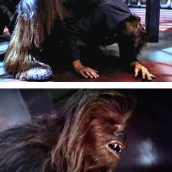 Little Chewbacca GIFs - Find & Share on GIPHY