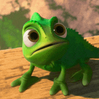 Pascal Tangled Calm Down