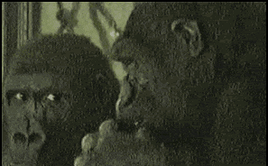 Boogers GIFs - Get the best GIF on GIPHY