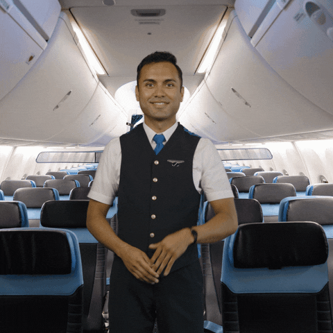 KLM Cockpit & Cabin Crew GIFs on GIPHY - Be Animated