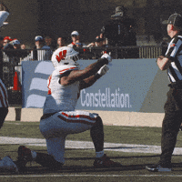 Wisconsin Badgers GIFs on GIPHY - Be Animated