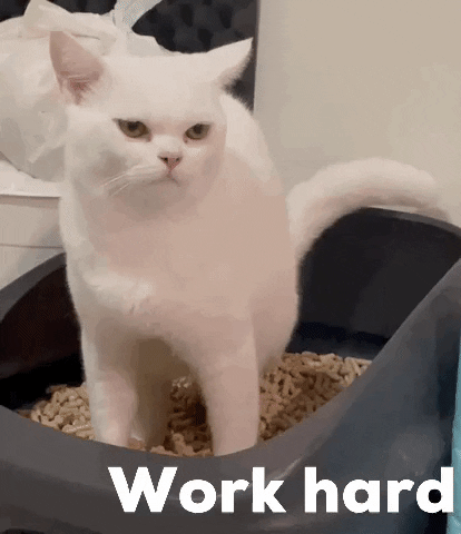 Now The Hard Work Begins GIFs - Find & Share on GIPHY