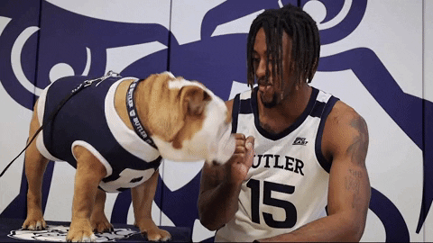 Happy Butler Bulldogs GIF by Butler University - Find & Share on GIPHY