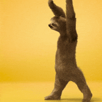 Sloth Gifs