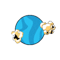 SIFF 2023 GIFs on GIPHY - Be Animated