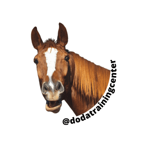 Doda Training Center GIFs on GIPHY - Be Animated