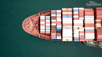 Shipping GIFs - Find & Share on GIPHY