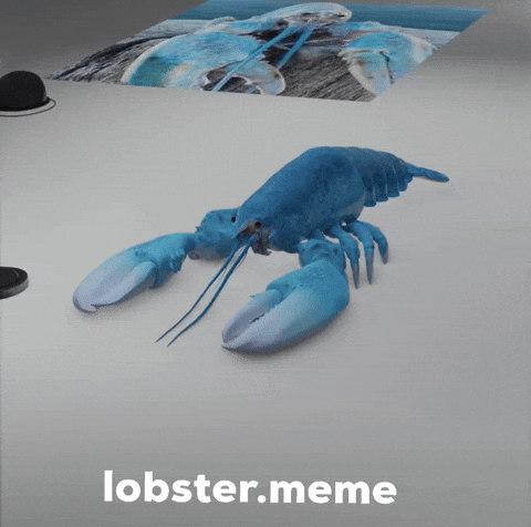 Lobster Meme GIFs - Find & Share on GIPHY