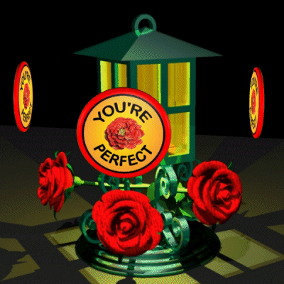 Beyond Compare GIFs - Get the best GIF on GIPHY