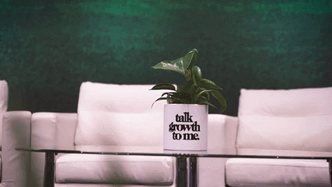 Flowers Grow GIF by Plant Economy - Find & Share on GIPHY