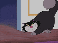 Exasperated Cat Gif