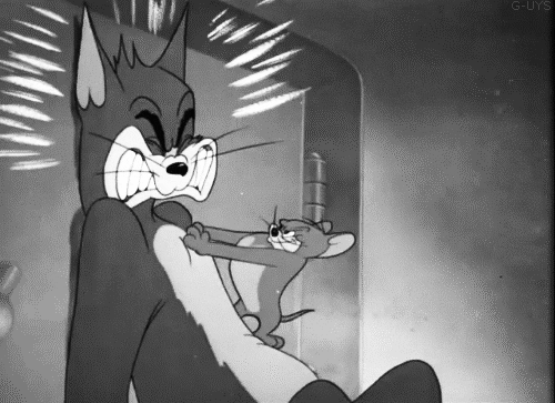 Gif De Tom Y Jerry Peleando Tom And Jerry GIFs | Tenor