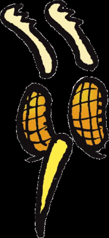 Insecte Mouche GIF by Amnesty France - Find & Share on GIPHY