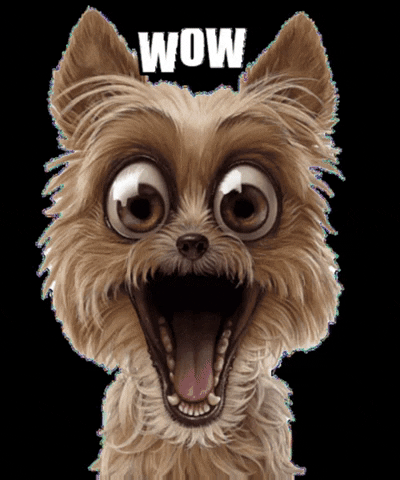 Dog Wow GIF by greenfoodpet - Find & Share on GIPHY