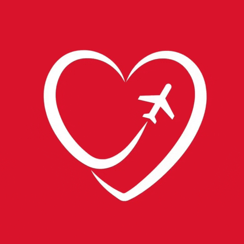 Glt GIFs - Get the best GIF on GIPHY