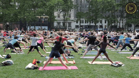 Group Exercise GIFs - Find & Share on GIPHY