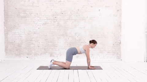 Fitness Workout GIF by 8fit - Find & Share on GIPHY