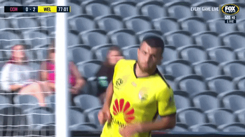 Australian Football Celebration GIF by Hyundai A-League - Find & Share ...