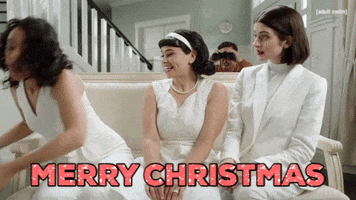 Merry Christmas GIF by Adult Swim - Find & Share on GIPHY