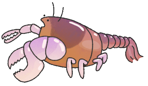 Margaret River Fight Sticker by Lisa Vertudaches for iOS & Android | GIPHY