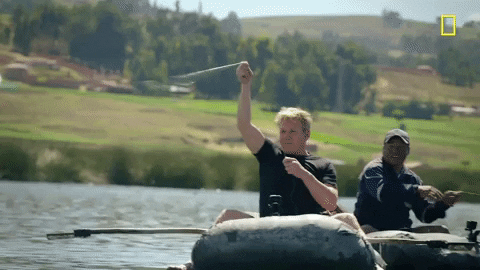 Now Throw It GIFs - Get the best GIF on GIPHY