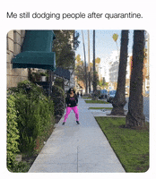 Help Me Meme GIFs - Find & Share on GIPHY
