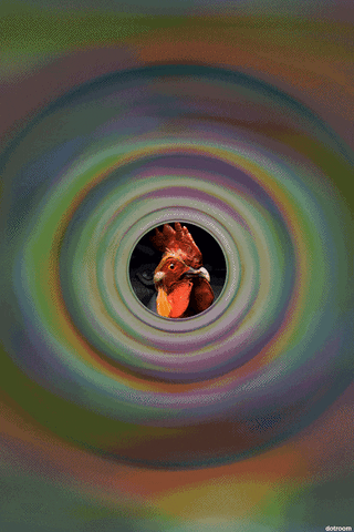 Circles A Bowl Of Food GIFs - Get the best GIF on GIPHY