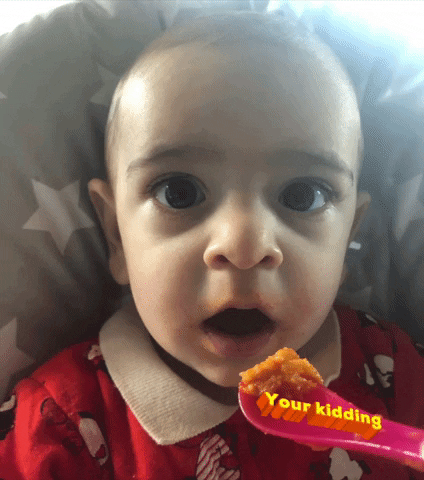 novak GIFs on GIPHY - Be Animated