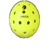 Pickleball GIFs on GIPHY - Be Animated