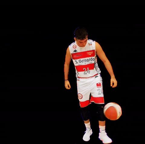San Bernardo GIFs - Get the best GIF on GIPHY