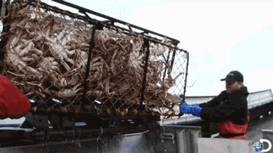 Bering Sea GIFs - Get the best GIF on GIPHY