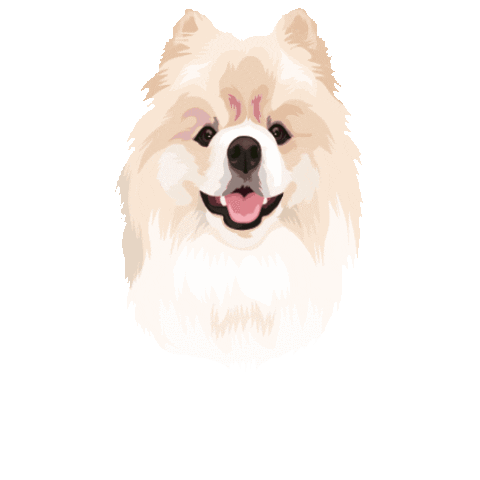 Dog Spitz Sticker by Pickle's Pawtraits for iOS & Android | GIPHY