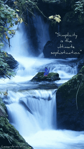 Quote GIF by Positive Programming - Find & Share on GIPHY