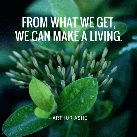 Gif By Give A Gif - Find & Share on GIPHY