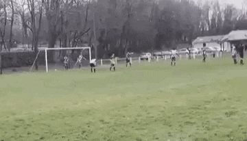 Stella Jeunes Bergerac GIFs - Get the best GIF on GIPHY