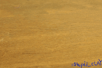 The Conjuring Clapping Hands Gif