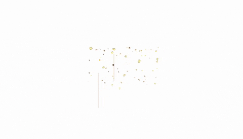 Online Jewelry Store GIFs - Get the best GIF on GIPHY