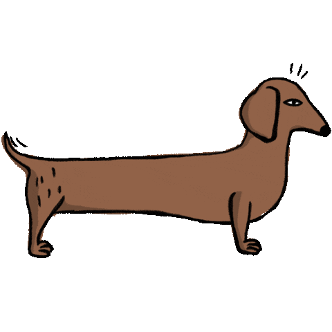 Jumping Sausage Dog Sticker by Kochstrasse™ for iOS & Android | GIPHY