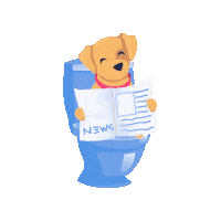 Better Vet GIFs on GIPHY - Be Animated
