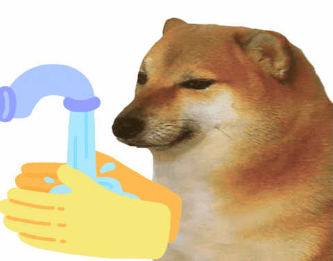 Cheemsmeme GIFs - Get the best GIF on GIPHY