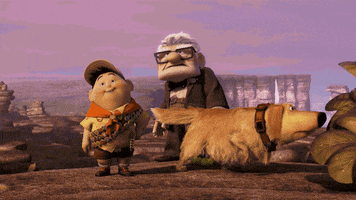 Squirrel Russell GIF by Disney - Find & Share on GIPHY