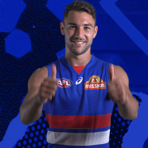 Aussie Rules Football Dogs GIF by Western Bulldogs - Find & Share on GIPHY
