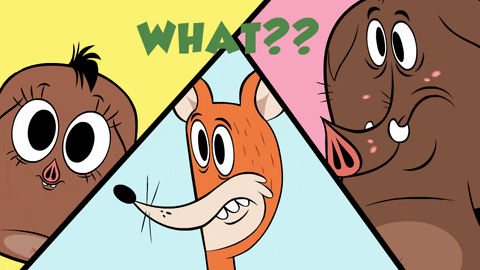 Washington GIFs on GIPHY - Be Animated