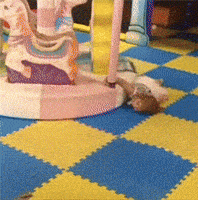 Merry Go Round GIFs - Find & Share on GIPHY