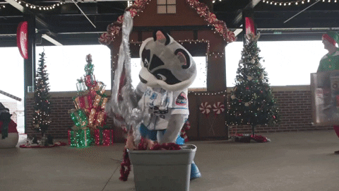 Trashpandas GIFs - Get the best GIF on GIPHY